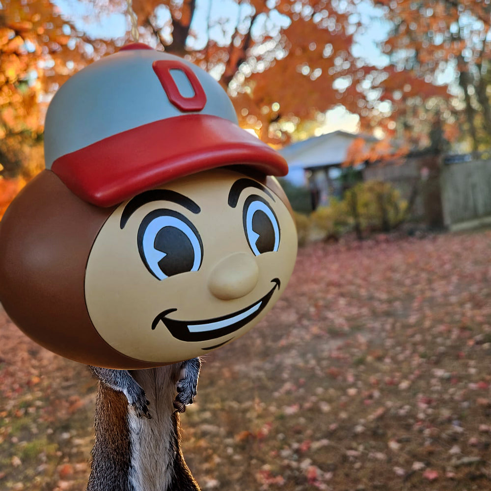 Get Nuts, Go Bucks! – Nutt Heads Ohio